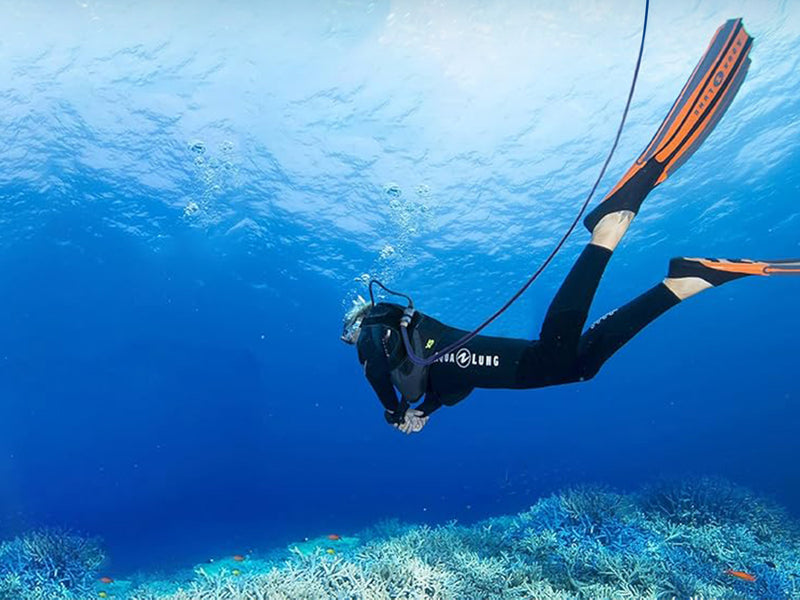 GOYOJO Diving Hookah System | 7-10 Hour Dive Time | 60ft Depth - GOYOJO ...